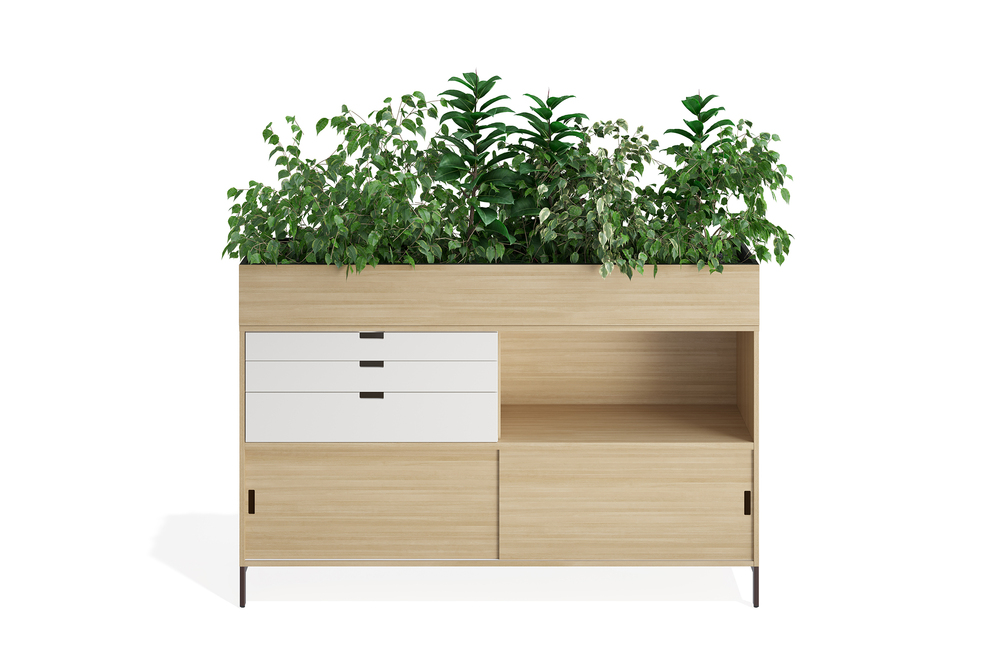 Lindbak | Neat Green